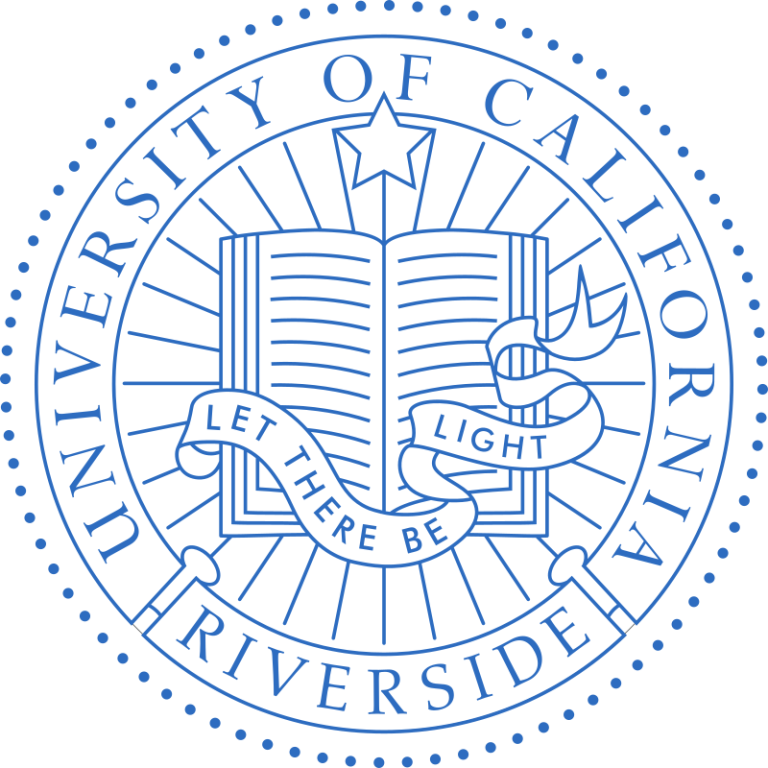 Summer Program - Calbridge