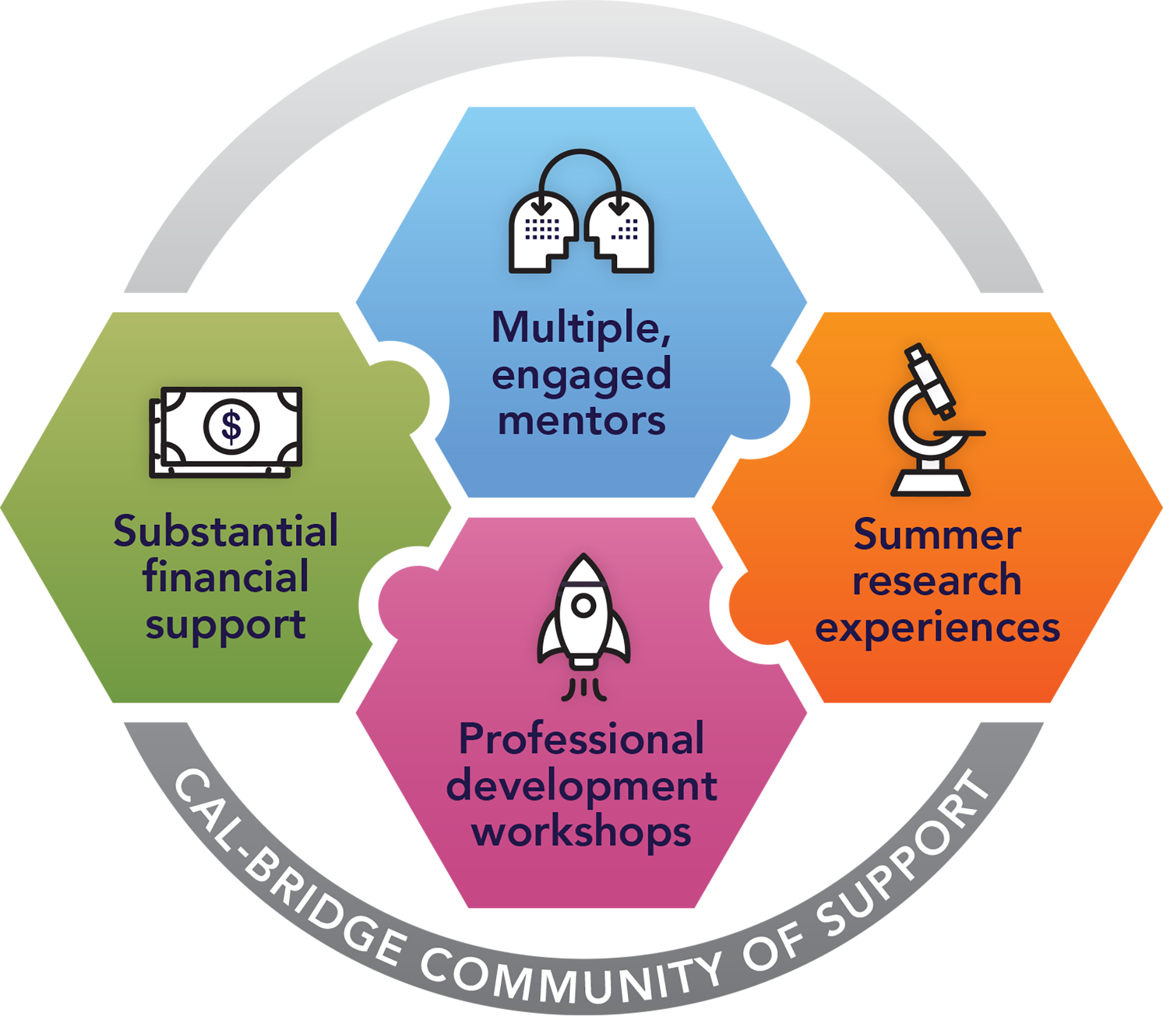 Undergraduate Program - Calbridge