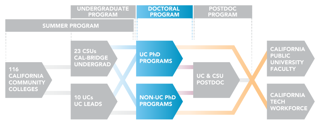 Doctoral Program - Calbridge