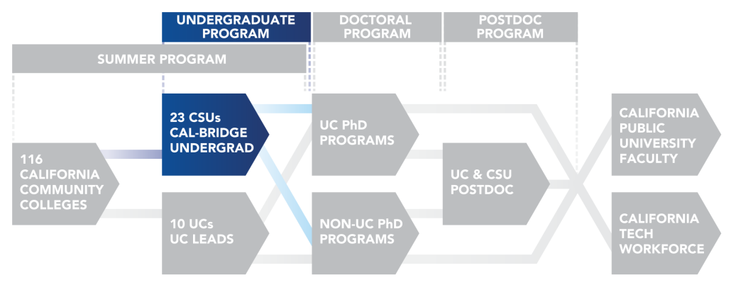 Undergraduate Program - Calbridge