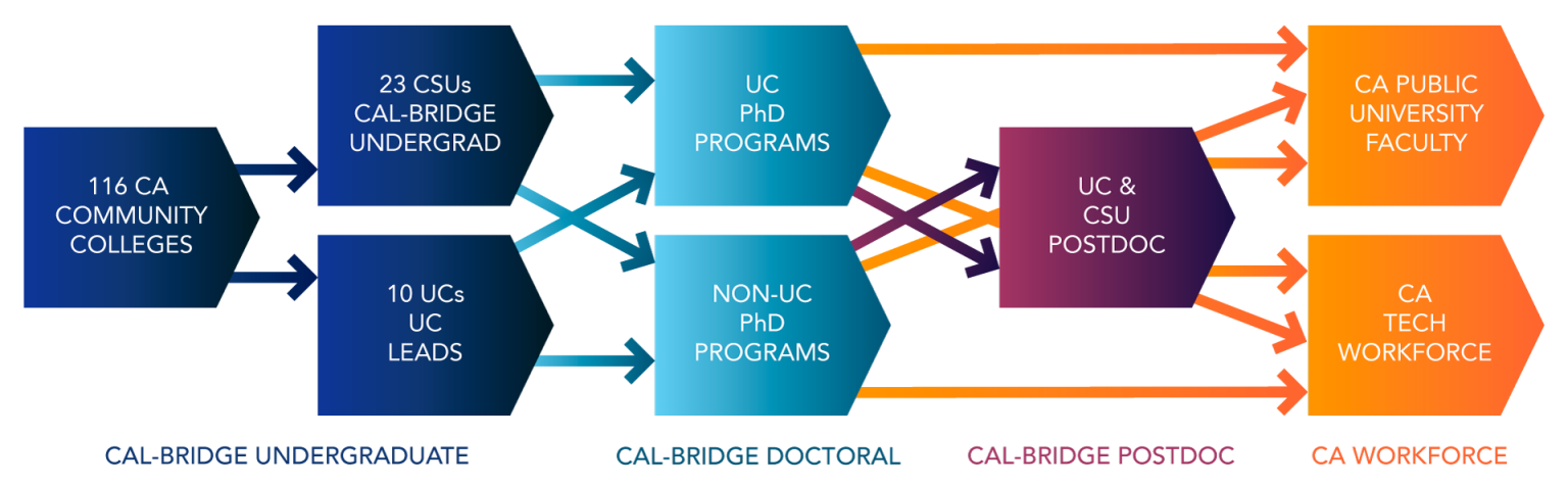 Programs - Calbridge